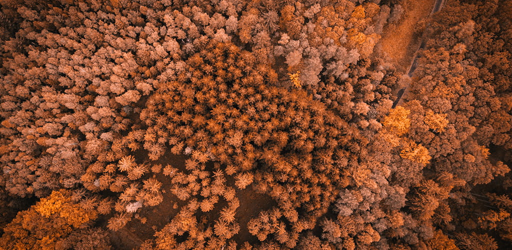 The Aston Martin Volante Vision Concept | Aston Martin (USA) | Aston ...